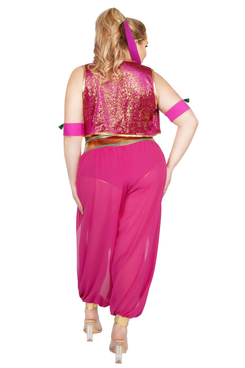 Plus Size Genie of the Lamp Costume, Plus Size Pink Genie Costume ...